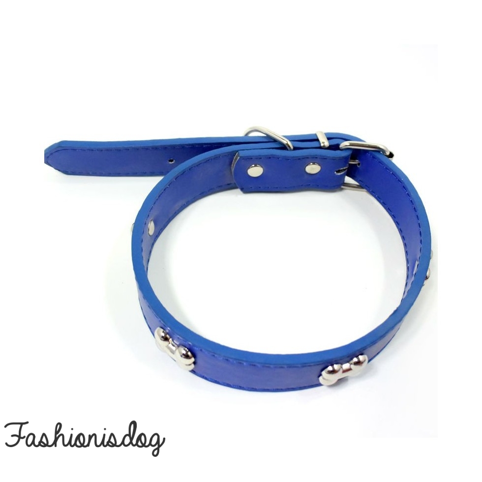 Collier Bones bleu pour chiens